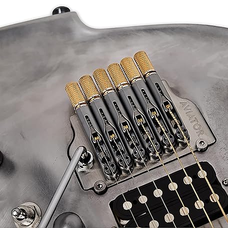 Mua BexGears DIY Headless Electric Guitar Kits Chambered Aluminum Body ...