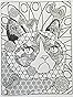 Amazon.com: Creative Haven Grumpy Cat Hates Coloring (Adult Coloring ...