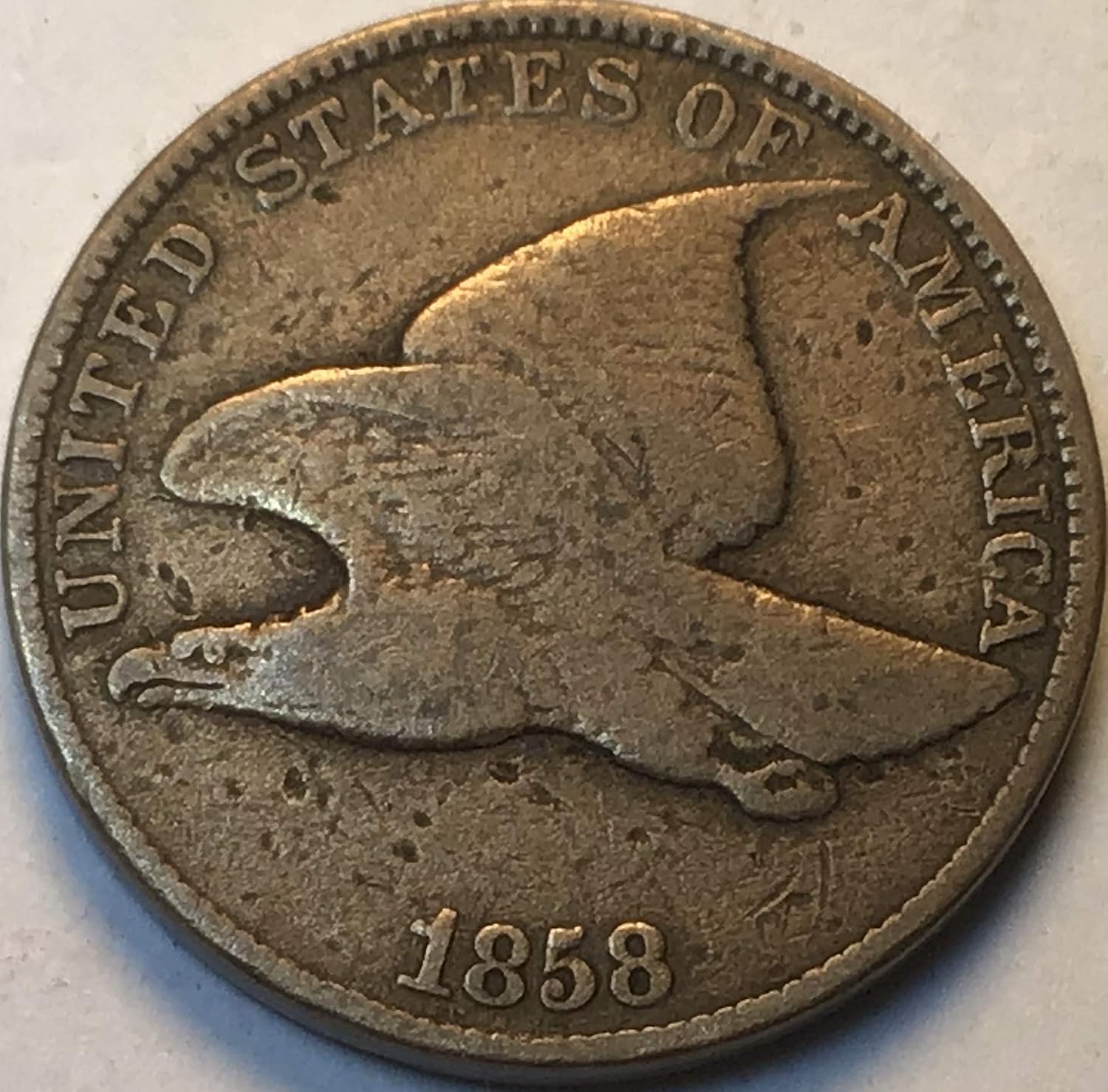 1858 Flying Eagle Cent Large Letters Penny Very Good at Amazon's ...