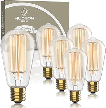 Vintage Incandescent Edison Light Bulbs 60W (6 Pack)- E26/E27 Base ...