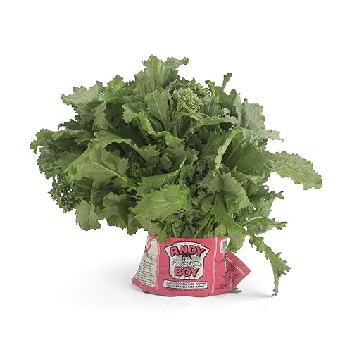 Rabe Rapini Broccoli in Saudi Arabia | Whizz Cut & Packaged Vegetables