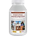 Amazon.com: Andrew Lessman Essential Amino Protein 180 Capsules – Easy ...