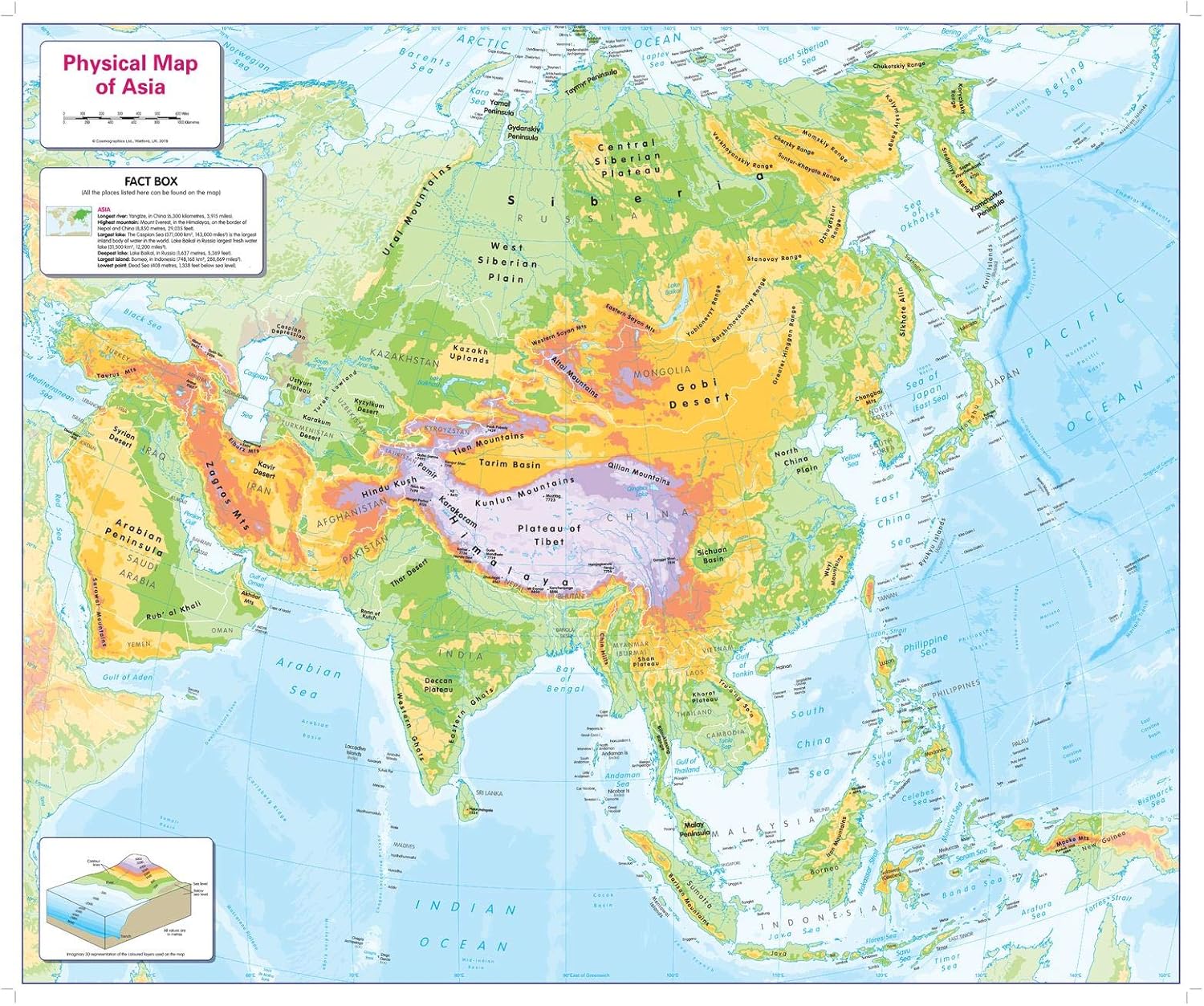 Color Blind Friendly Childrens Physical Map of Asia 31.75 x 26.5 Art ...