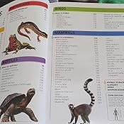 Knowledge Encyclopedia Animal!: The Animal Kingdom as you've Never Seen ...