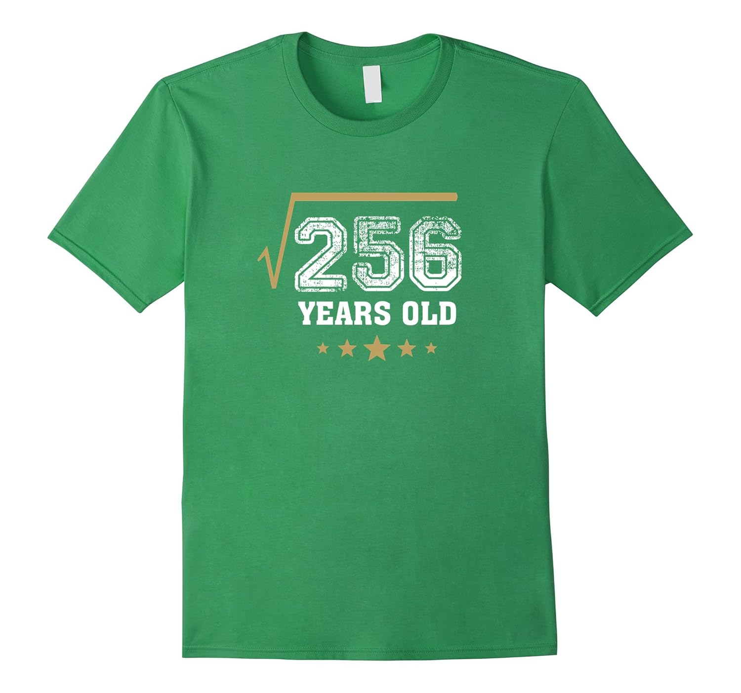 SQUARE ROOT OF 256 16 YRS YEARS OLD 16TH BIRTHDAY T SHIRT