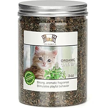 Amazon.com : MR-BABULA Organic Catnip, Natural North American Variety, Selected Fresh Catnip ...