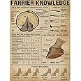Amazon.com: Farrier Knowledge Metal Tin Sign Anatomy Of Horse Hoof ...