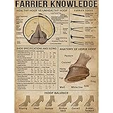 Amazon.com : Horse Knowledge Metal Tin Sign Teeth Horse Age Vintage ...