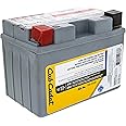 Amazon.com: CUB CADET 725P17335 Battery 210cca 11AHR Ultima ZT1 ZT2 ...