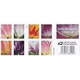 Amazon.com: USPS 2023 Tulip Blossom Forever First Class Postage Stamps ...