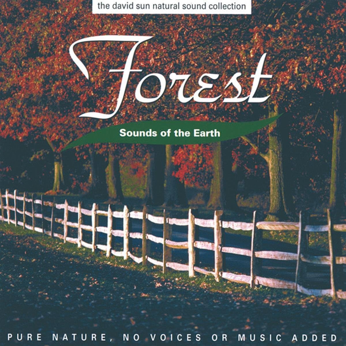 Forest - Amazon.co.uk