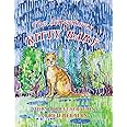 The Adventures of Kitty Baby: Beeman, Fred: 9798888628799: Amazon.com ...
