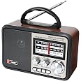 Amazon.com: Retro Vintage Radio, Portable AM FM Radios Stereo Speakers ...