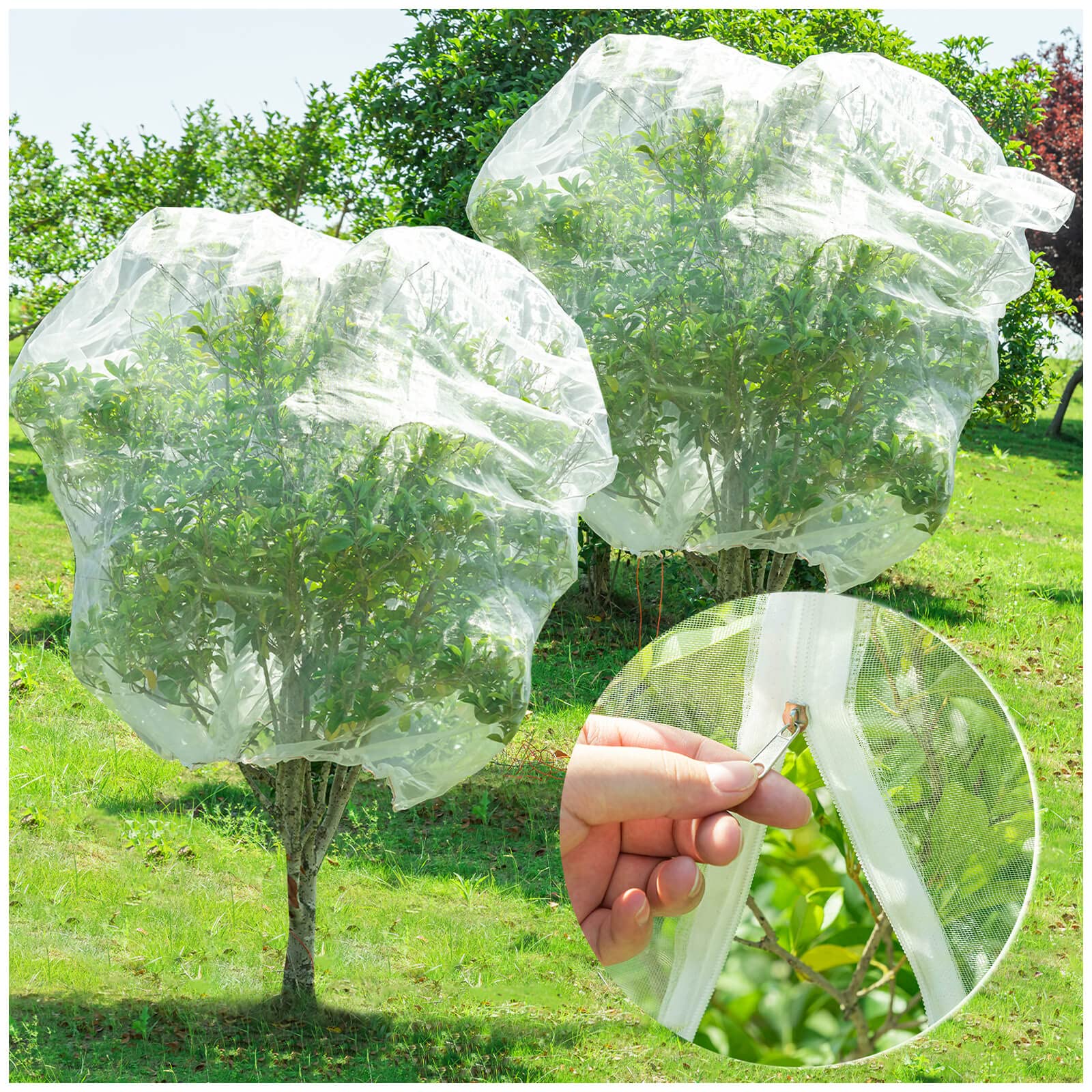 Large Fruit Orchard Netting, 6.56 x 6.56 FT Plant Netting with Zipper ...