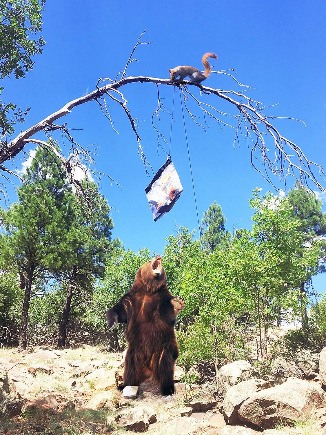 Ratsack Rodent Proof Bear Bags Large Size - Ultralight Stainless Steel ...