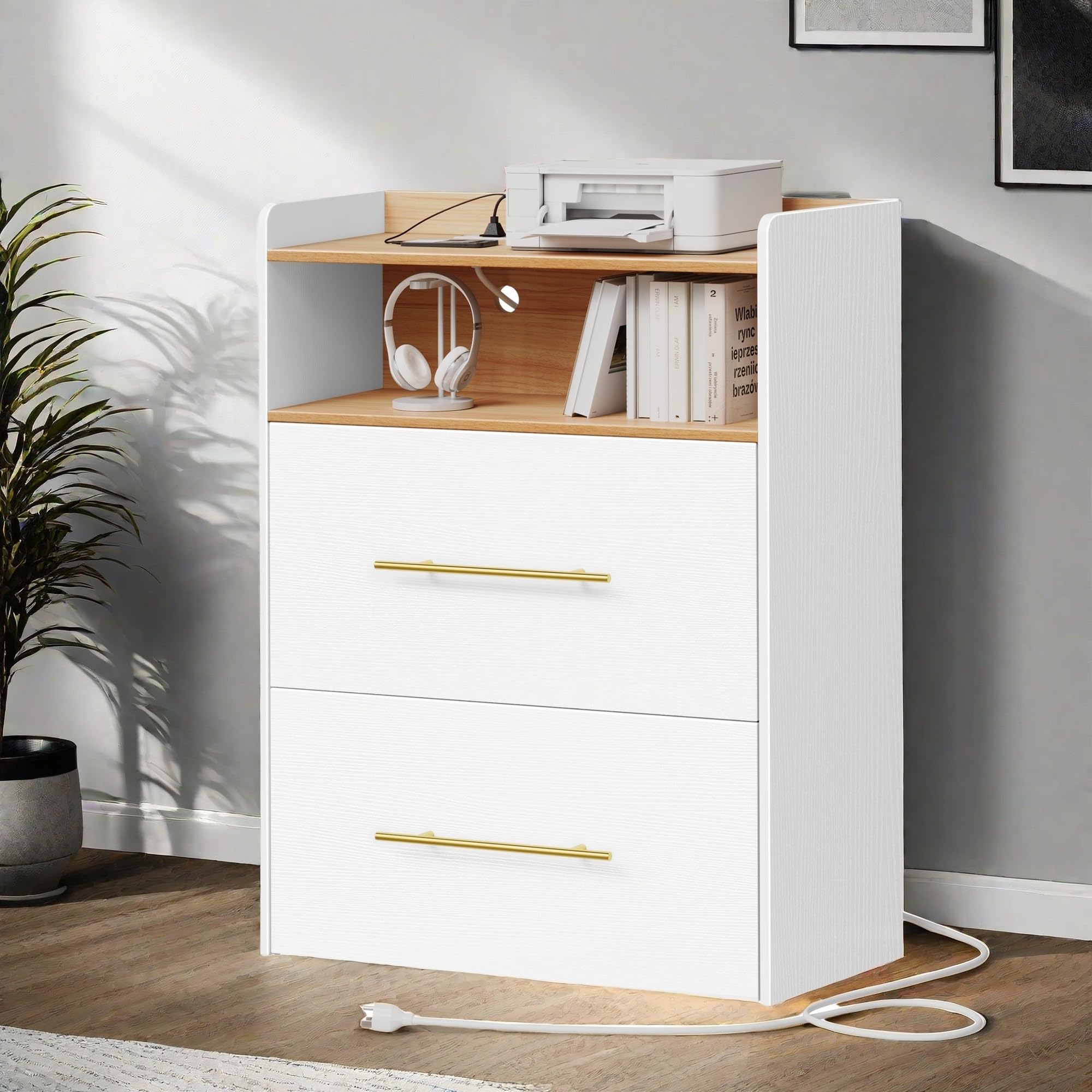 DWVO 2 Drawer File Cabinet with Charging Station, Mobile Filing Cabinet ...