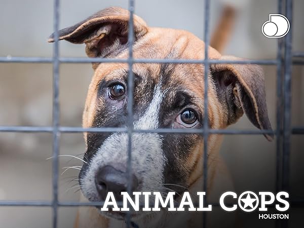Watch Animal Cops: Houston - Season 7 | Prime Video