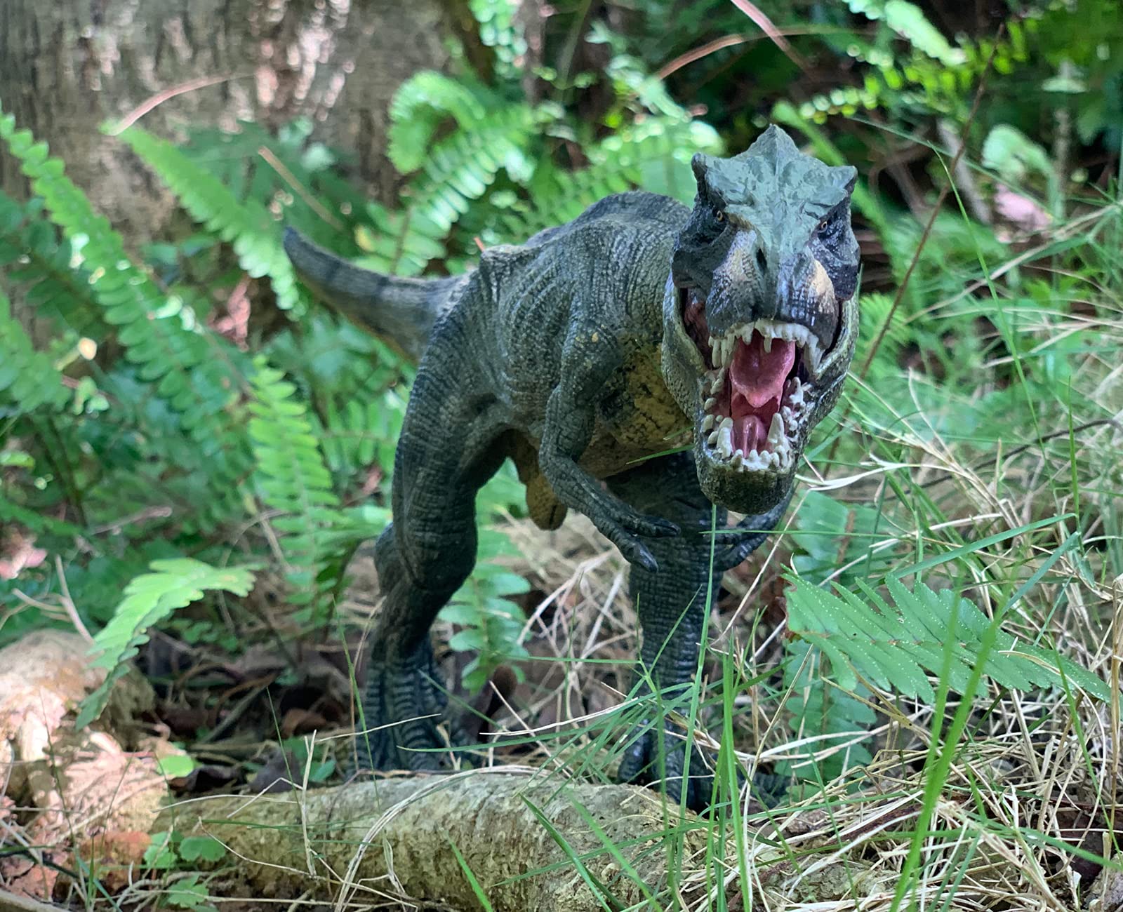 Mua Tyrannosaurus Rex with Movable Jaw Dinosaur Roaring T-rex Toys-12 ...