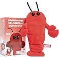Amazon.com: Menstruation Crustacean – Cuddly & Cute 14" Lobster Plush ...