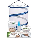 Amazon.com: Nature Gift Store Live Butterfly Kit: School Sized-Shipped ...