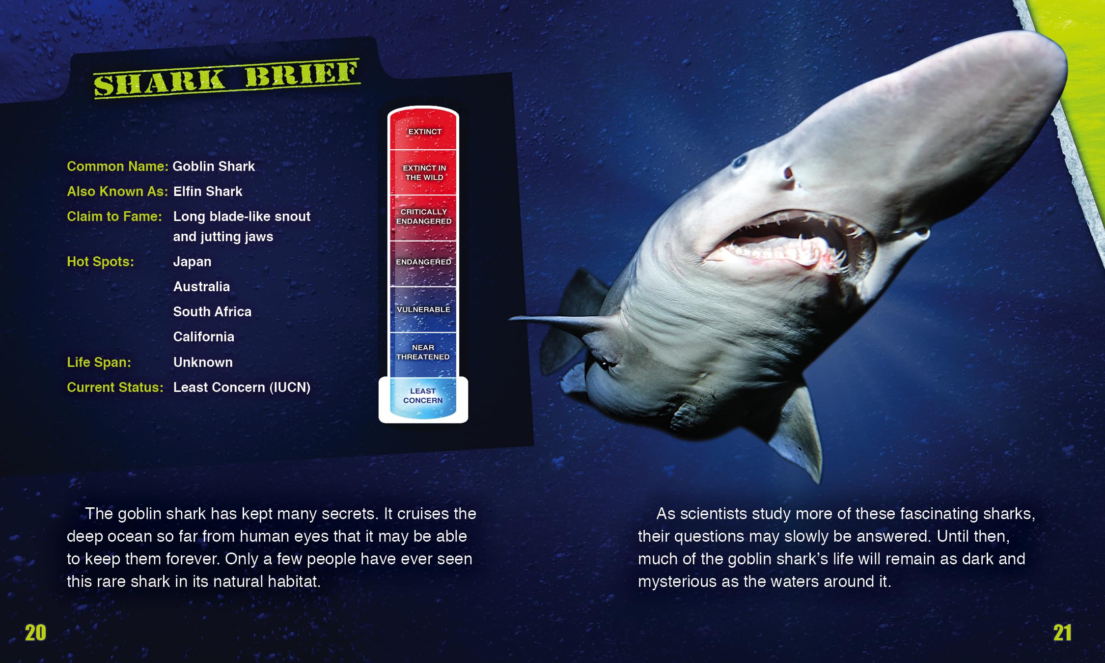 Mua The Goblin Shark (Shark Fact Files) The Goblin Shark (Shark Fact ...
