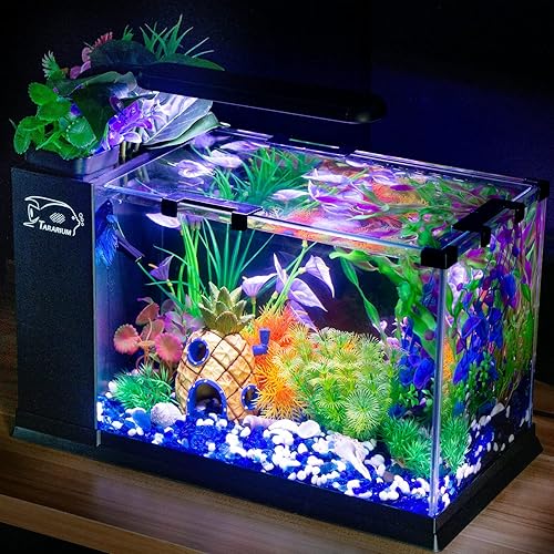 5 Gallon Fish Tank Glass Small Aquarium Starter Kits Self Cleaning with ...