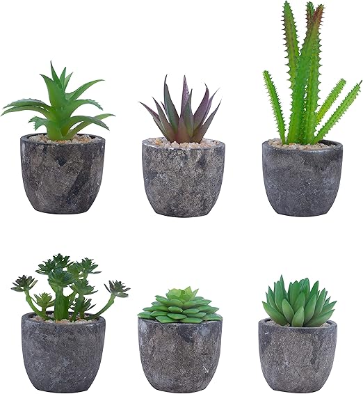 BELLE VOUS Set de 6 Mini Plantas Artificiales Suculentas Plantas ...