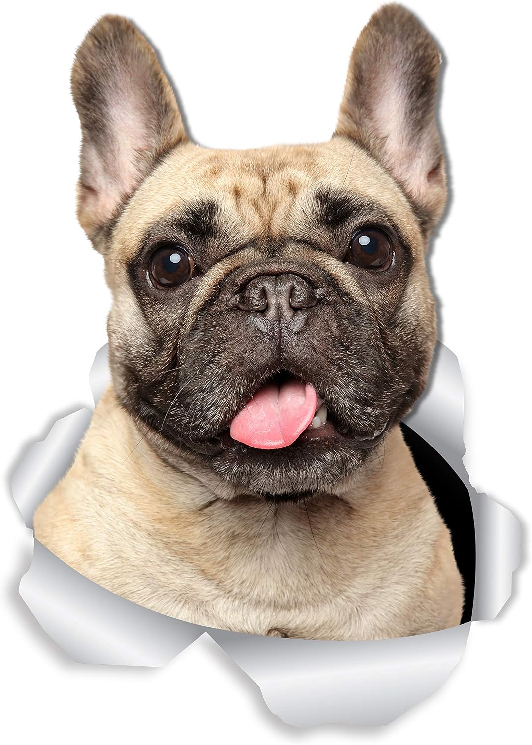Winston & Bear Loveable French Bulldog Dog Wall Decals – 2 Pack ...