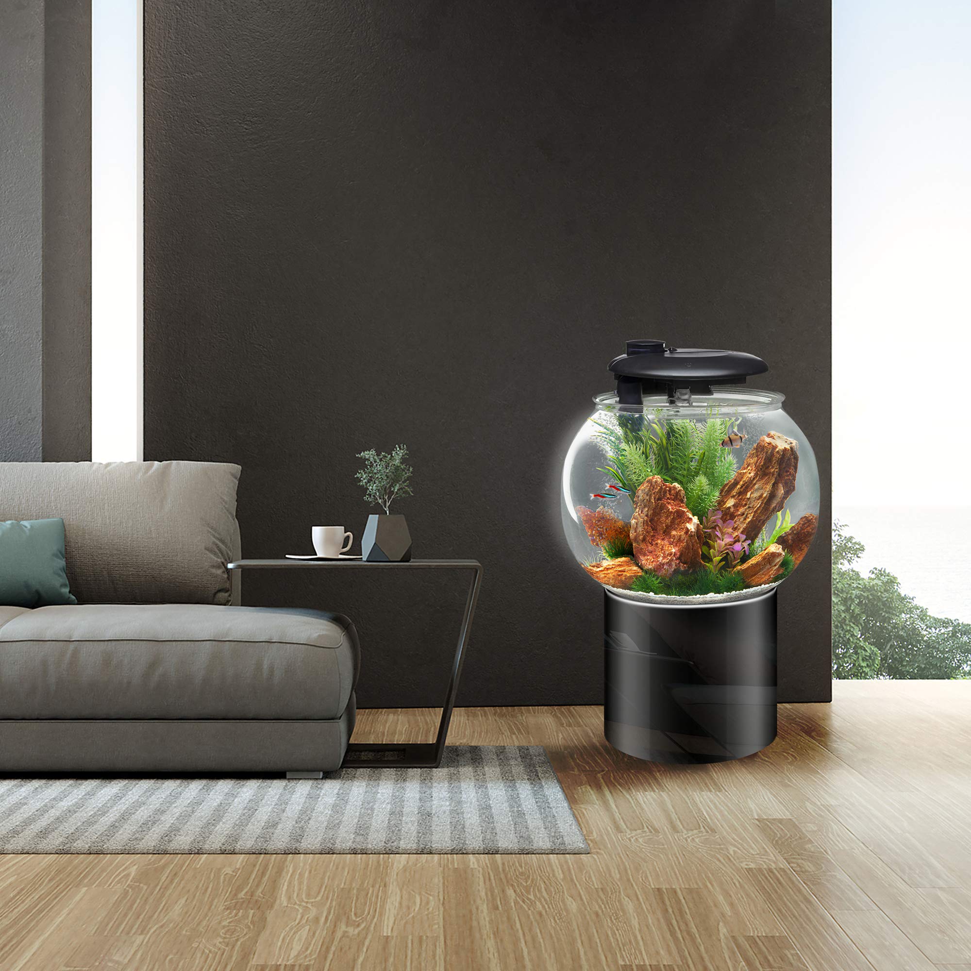 Mua Penn-Plax AquaSphere 360 Large Bowl-Shaped Aquarium for Freshwater ...