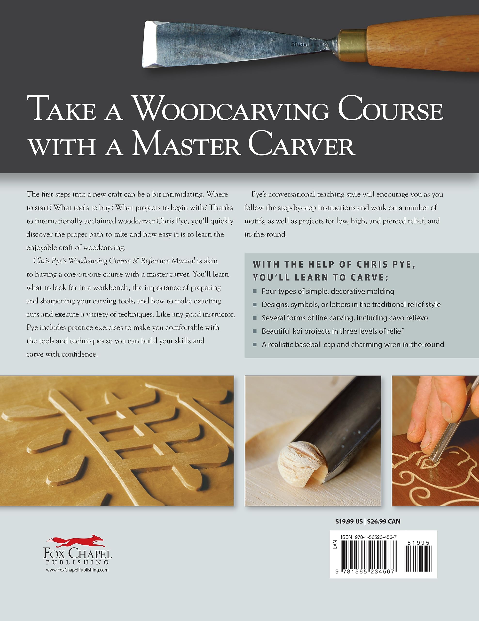 Mua Chris Pye's Woodcarving Course & Reference Manual: A Beginner's Guide to Traditional ...