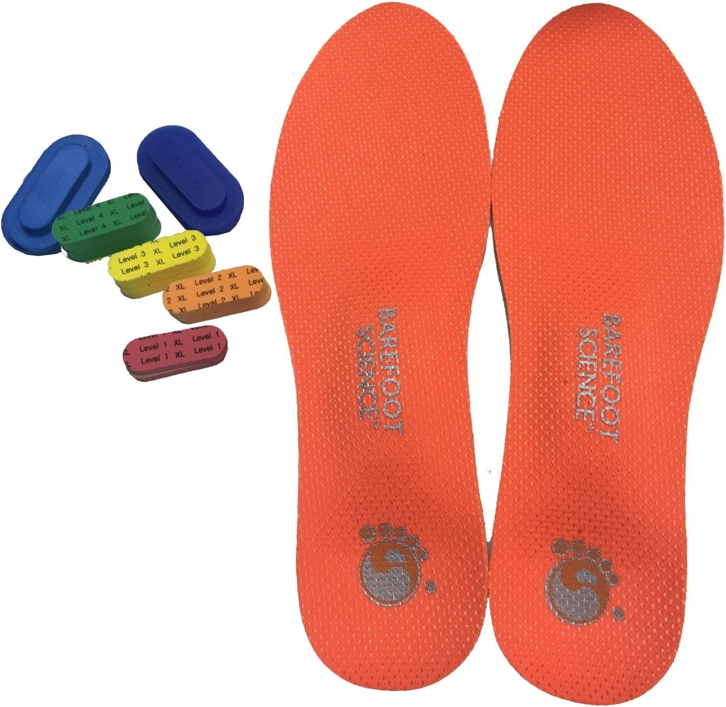 Amazon.com: Barefoot Science - Full Length 6 Step Active Arch ...