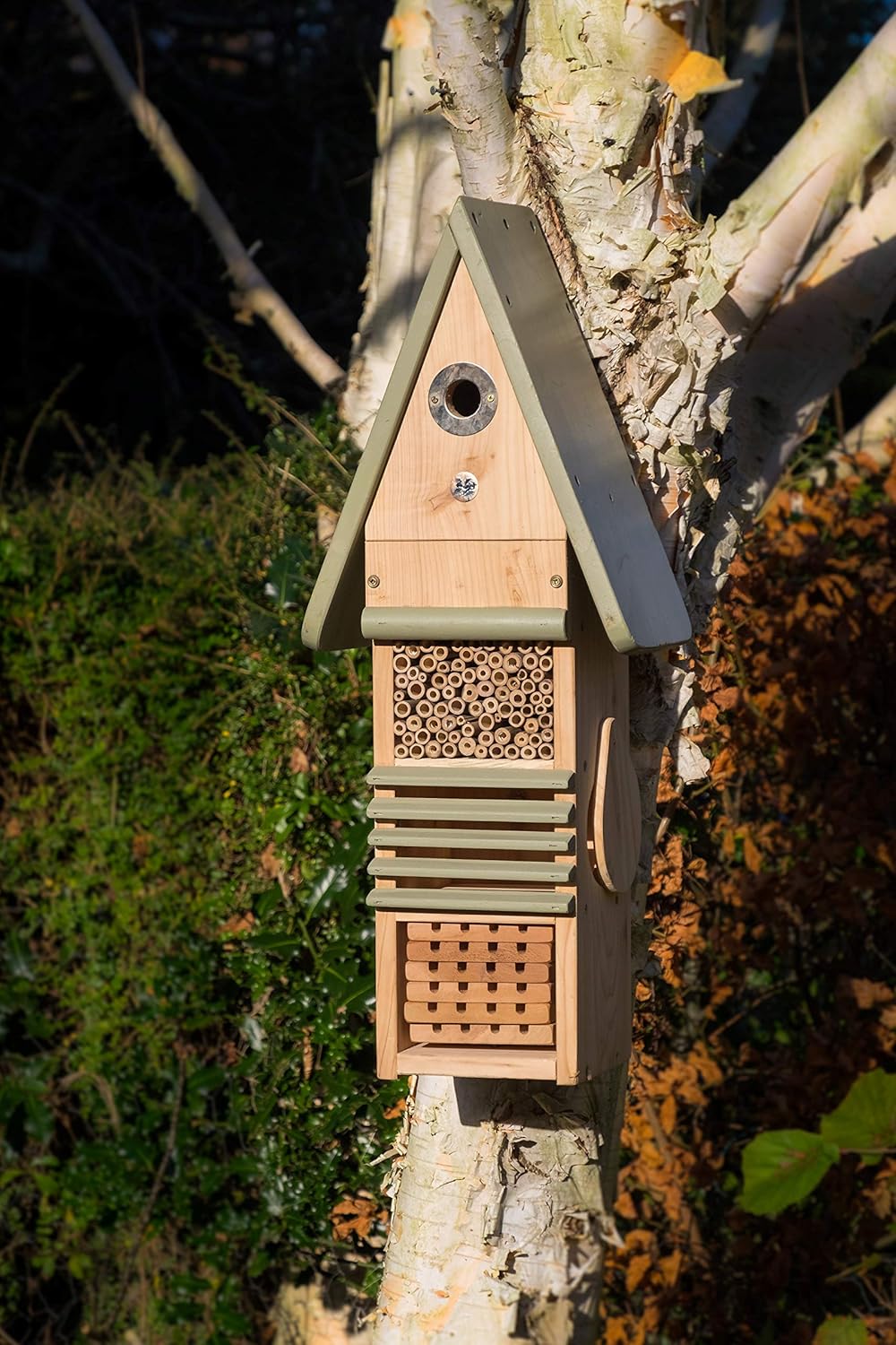 Garden & Outdoors National Trust Birds Slight Seconds Bees and Bugs ...