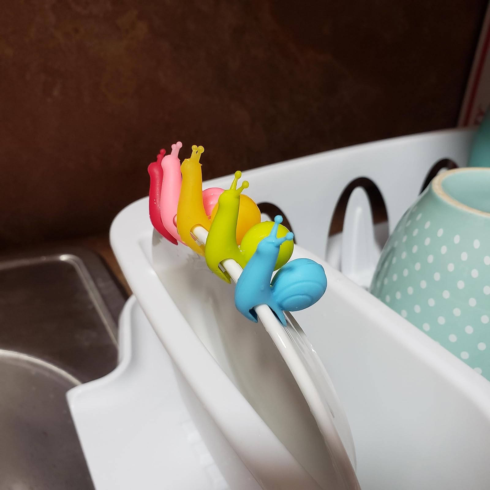 Cute little tea snails