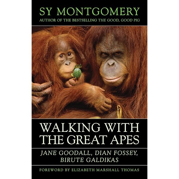 Birute Galdikas Quotes Women In Conservation: 5 Primatologists You