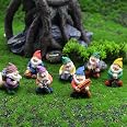 Amazon.com: Mini Gnomes Set of 7 - Fairy Garden Accessories, Tiny Gnome ...
