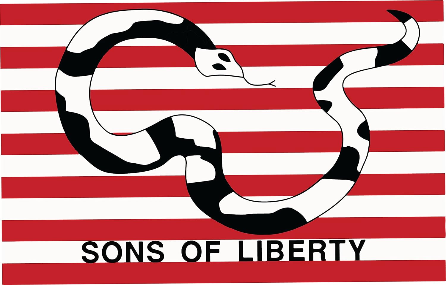 Amazon.com: Sons of Liberty Flag - Metal Gear Solid 2 Dead Cell Solidus ...