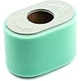 Amazon.com : Briggs and Stratton 797032 Air Filter : Patio, Lawn & Garden