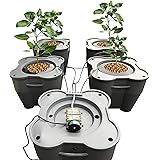 Amazon.com : Recirculating Deep Water Culture (RDWC) Hydroponic Grow Kit System, 5 Gallon, 4 ...