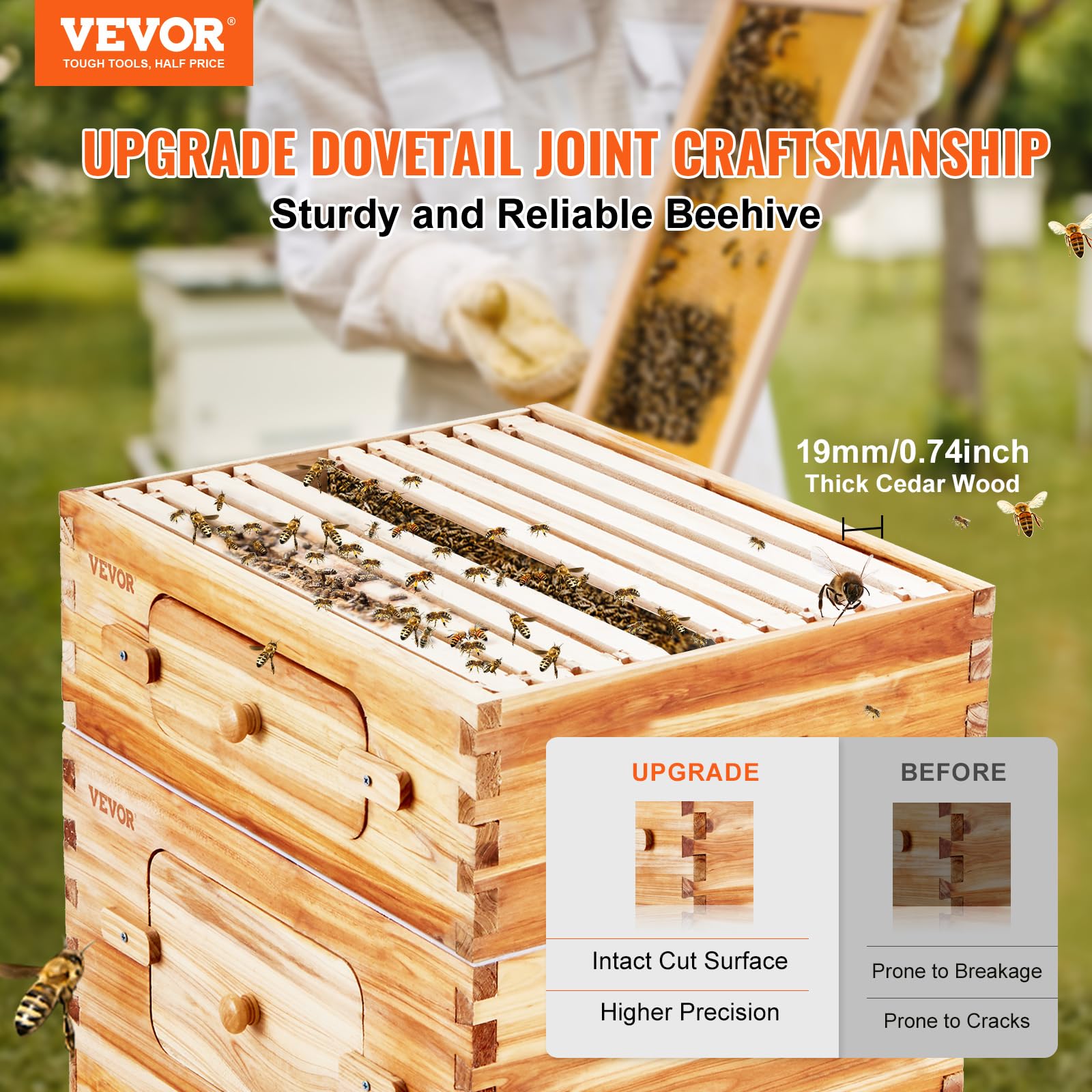 Mua VEVOR Bee Hive 10 Frame Bee Hives Starter Kit, Beeswax Coated Cedar ...