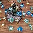 Amazon.com: Nautical theme Sea Life Decorative Fairy String Lights ...