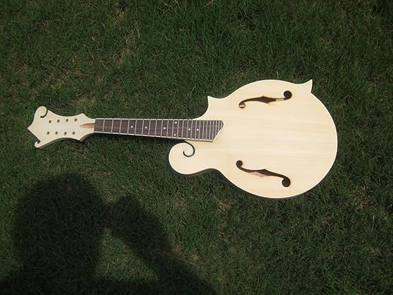 Acoustic Kentucky Style Mandolin Diy Builder Kit: Amazon.co.uk: Musical ...