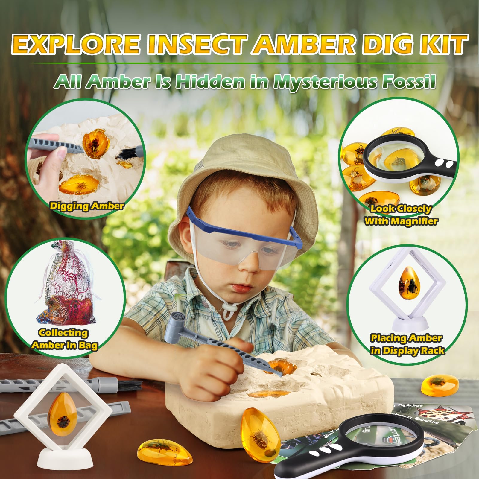 Mua Amber Dig Kit - Insects in Resin, 8 Insects Specimens Excavation ...
