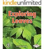 Exploring Flowers (First Step Nonfiction — Let's Look at Plants ...