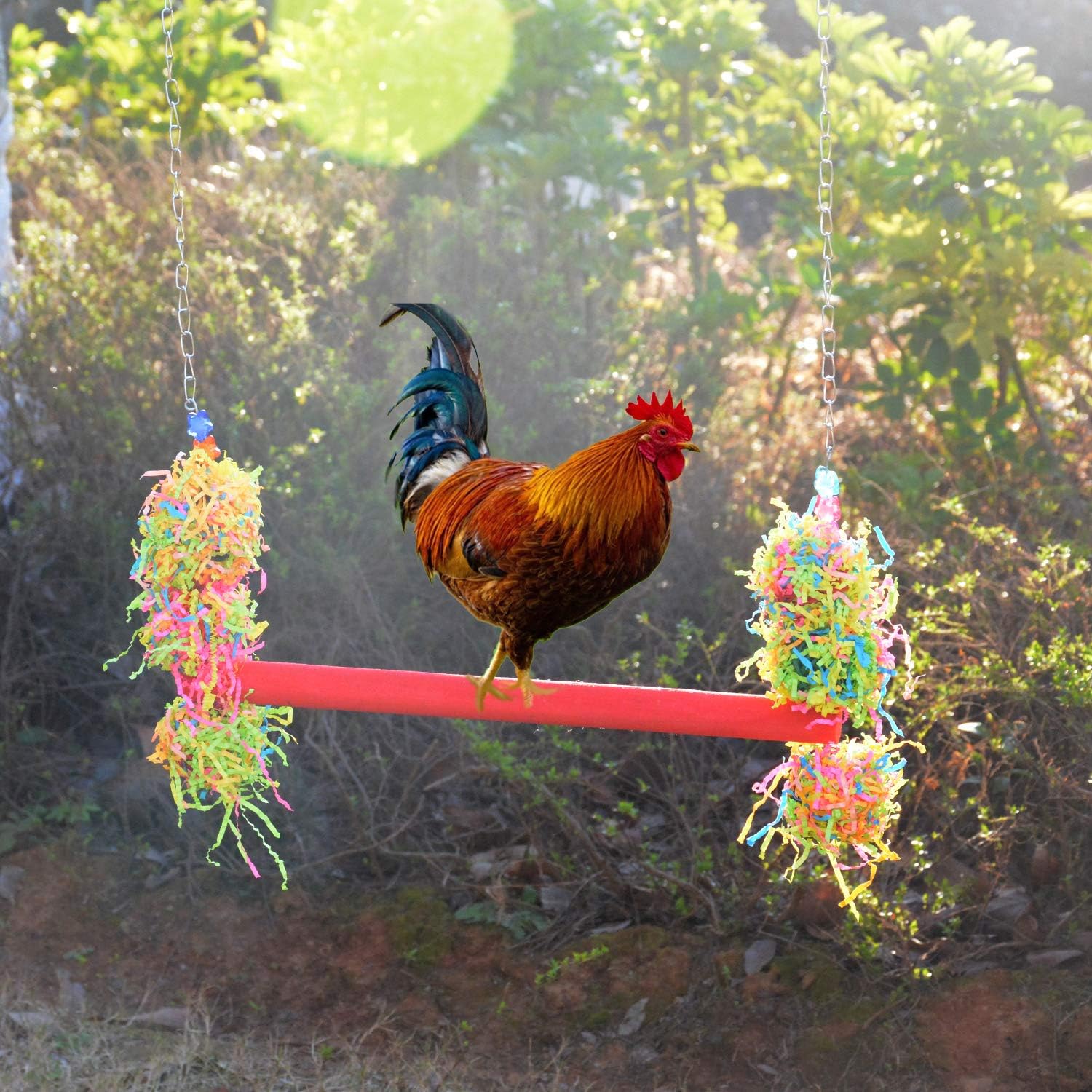 aleawol Chicken Swing, Chicken Hanging Swings Toys Wood Block Biting ...