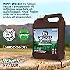 Nature's Freedom Hydrogen Peroxide 6% Concentrate, H2O2 and Purified ...