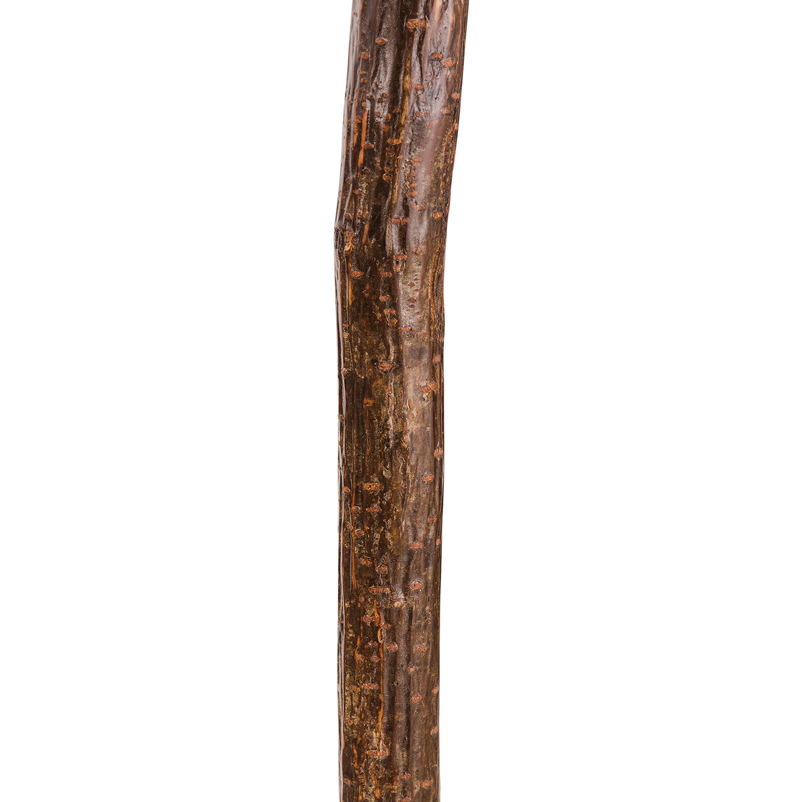 Handcrafted Wood Walking Cane - Made in the USA by Brazos - Free Form ...