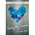 Amazon.com: Twenty Boy Summer: 9780316051583: Ockler, Sarah: Books