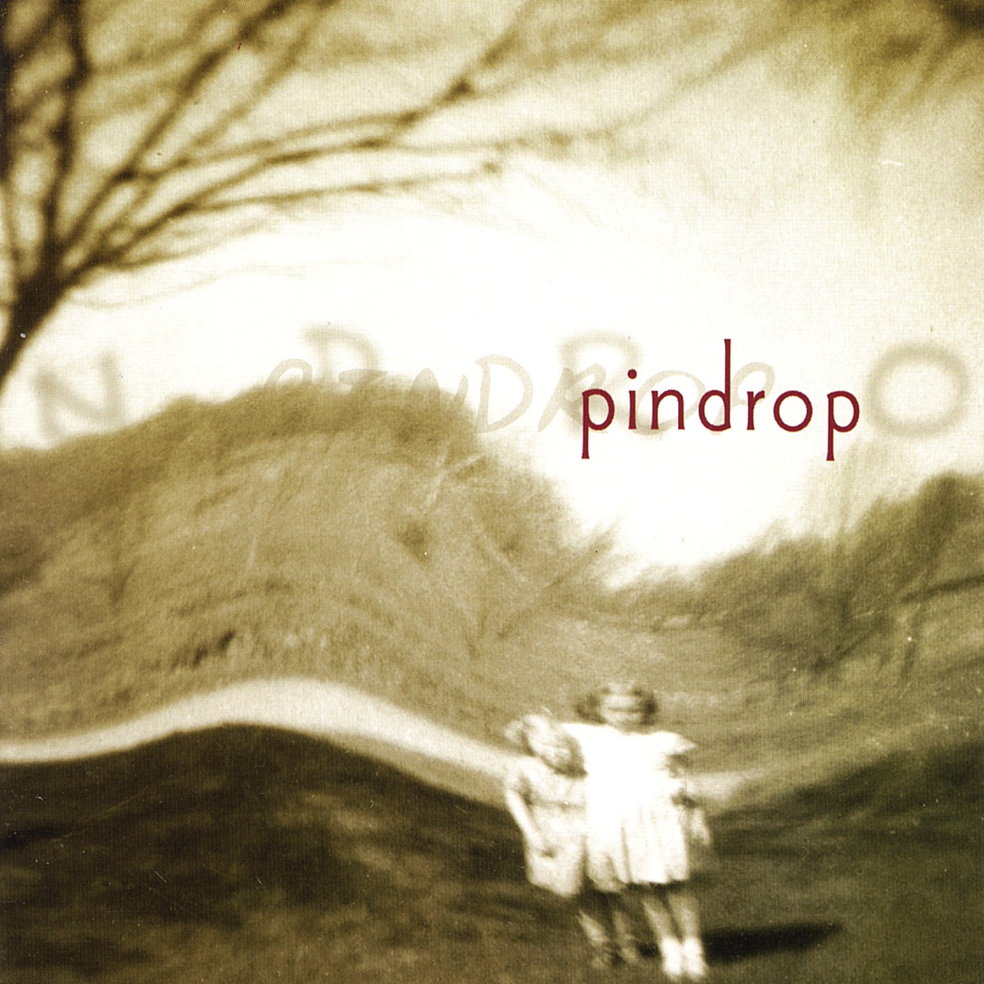Pindrop - Pin Drop - Amazon.com Music