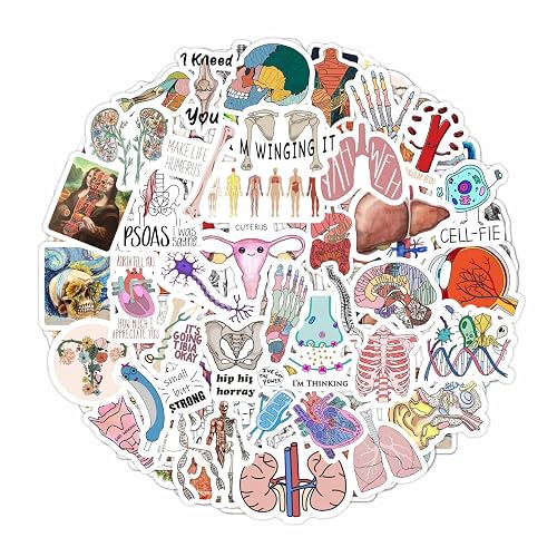 BulbaCraft 100Pcs Anatomy Stickers, Human Anatomy Decals, Body Part ...