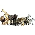 Amazon.com: Boley 12 Piece Safari Animal Set - Different Varieties of ...